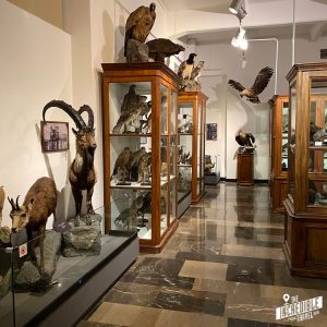 10 Gründe, warum man nach Tiflis reisen sollte - The Incredible Travel Blog